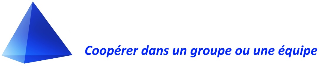 Questions méta - Coopérer dans un groupe ou une équipe